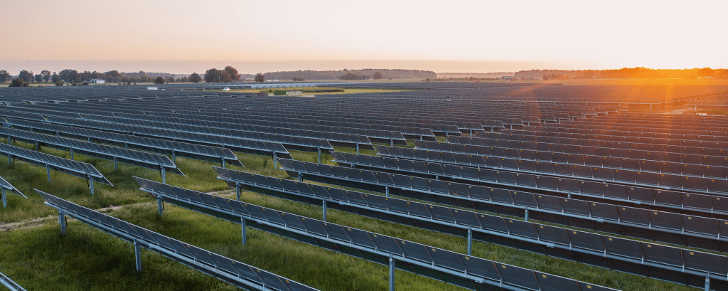 Lightsource BP and Conway Corp Unveil 135-Megawatt Solar Farm in ...