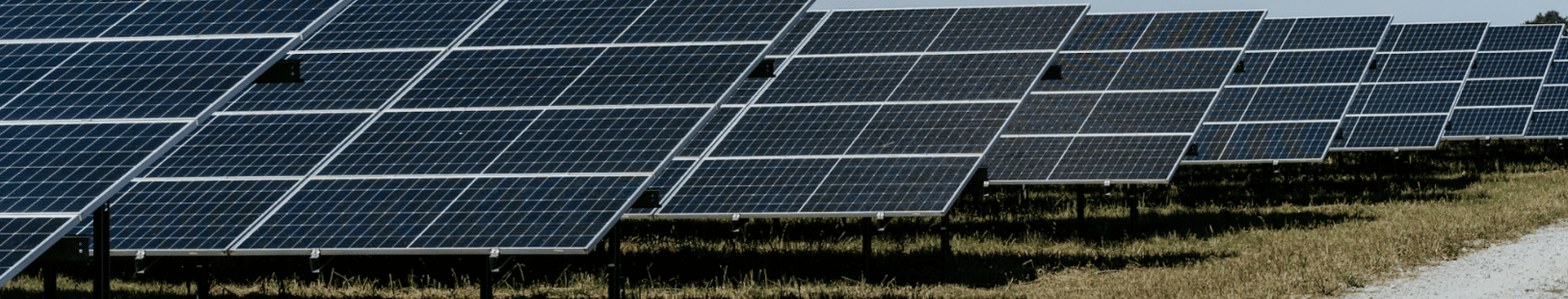 Sunly Secures €65.9 Million Financing from mBank to Propel Solar Park ...