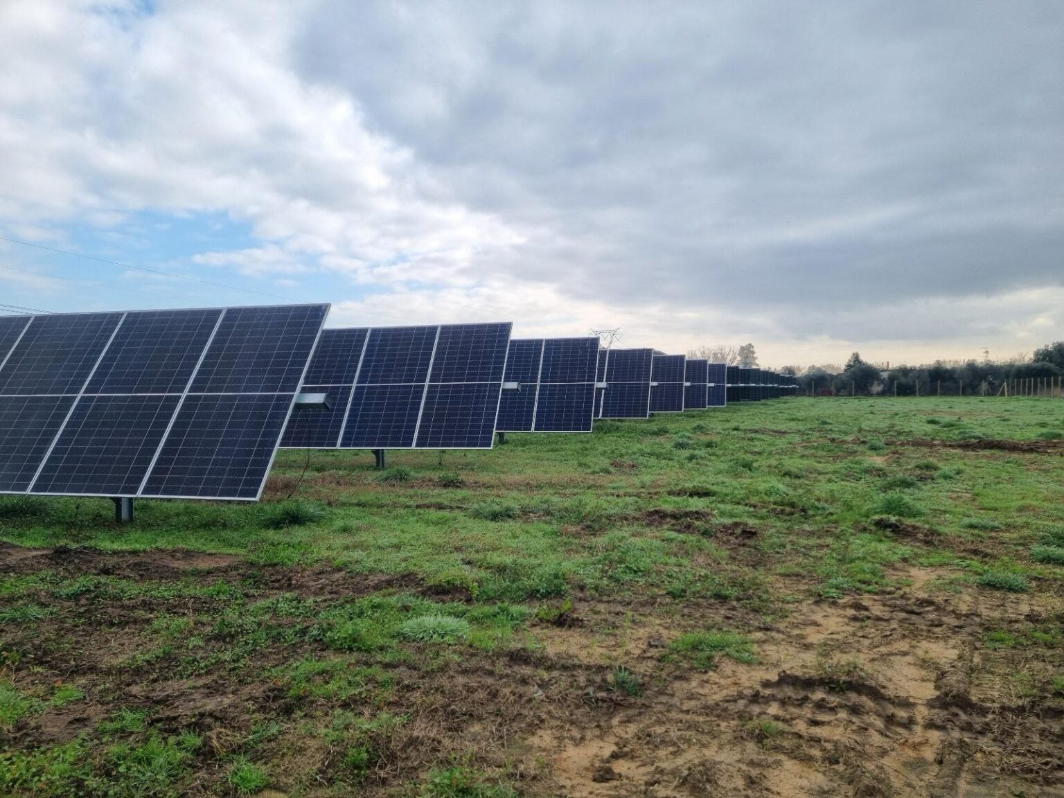 Qualitas Energy Secures 27 MWp vPPA with Salesforce for Solar Portfolio ...