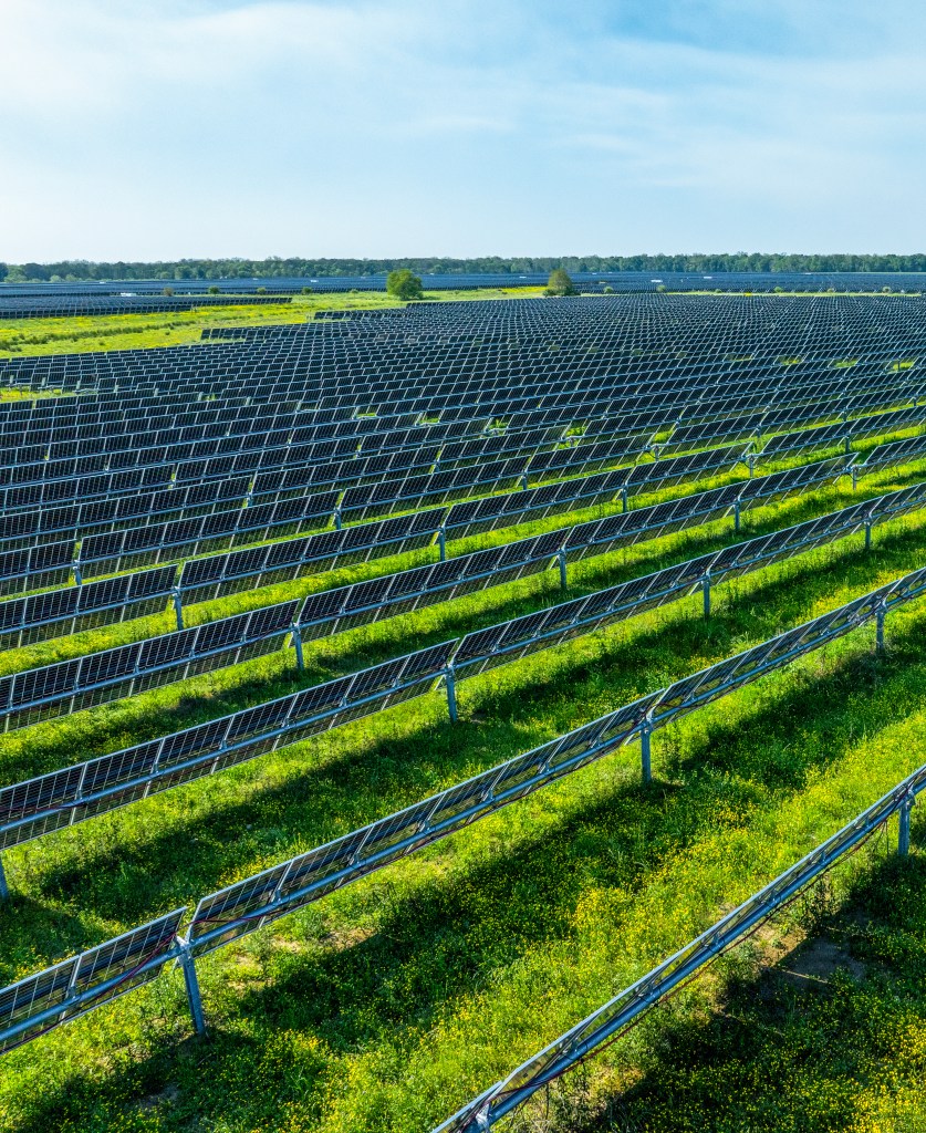 JERA Nex and Catalyst Energy Partners Join Forces to Accelerate US ...