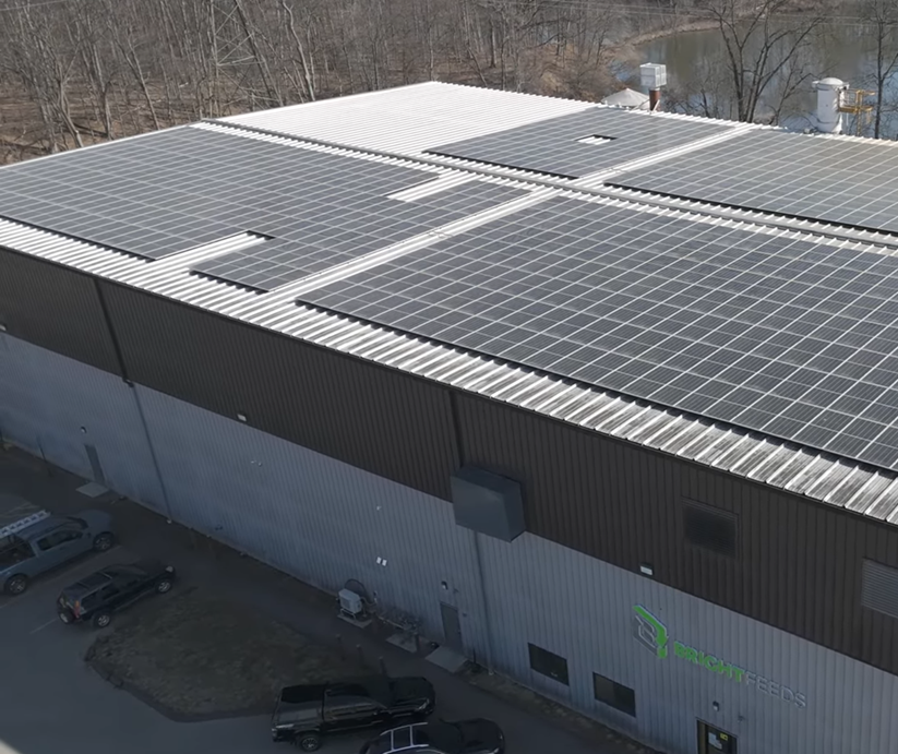Bright Feeds Switches Berlin Facility To Solar Energy For Clean Power ...